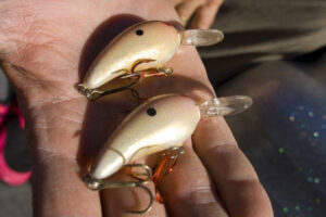 Short-Shank vs. Long-Shank Treble Hooks - Wired2Fish