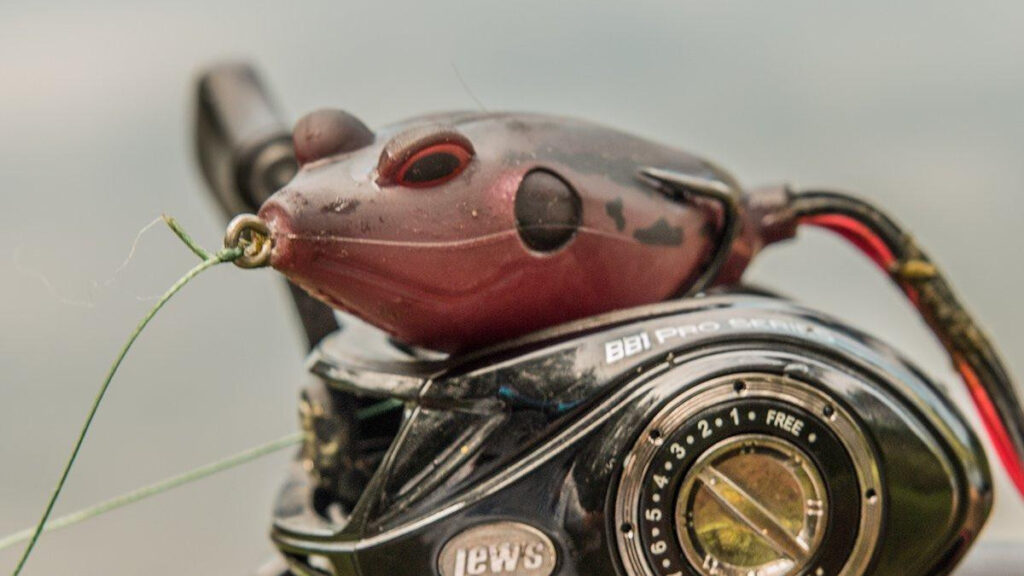 Terminator Walking Frog Review - Wired2Fish