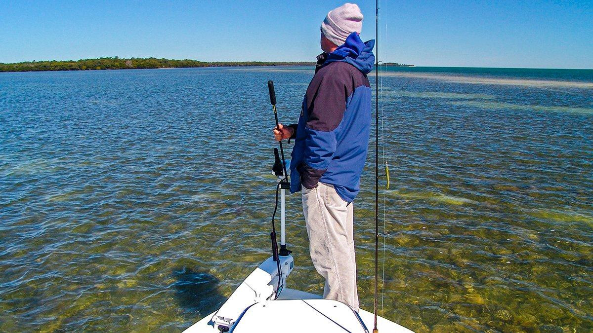 How to Catch Clear Water Redfish this Winter - Wired2Fish