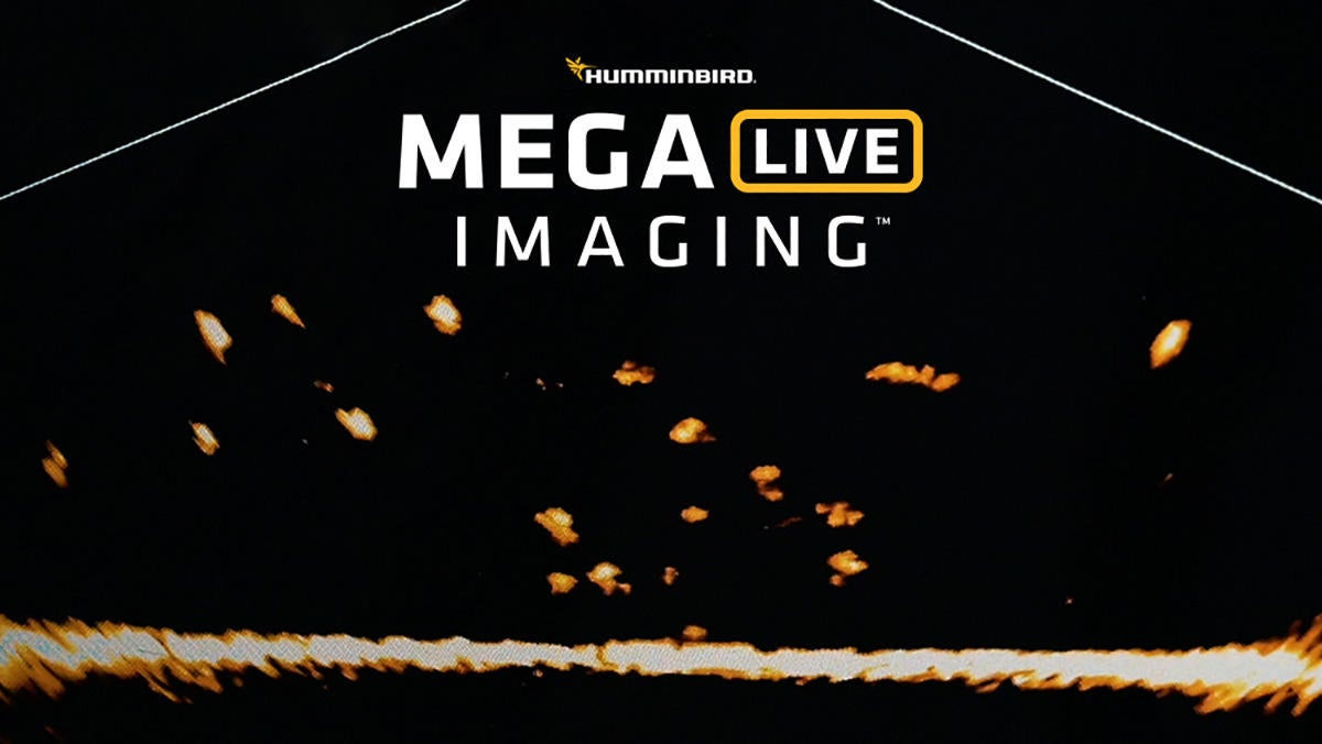 Humminbird Introduces MEGA Live Imaging - Wired2Fish