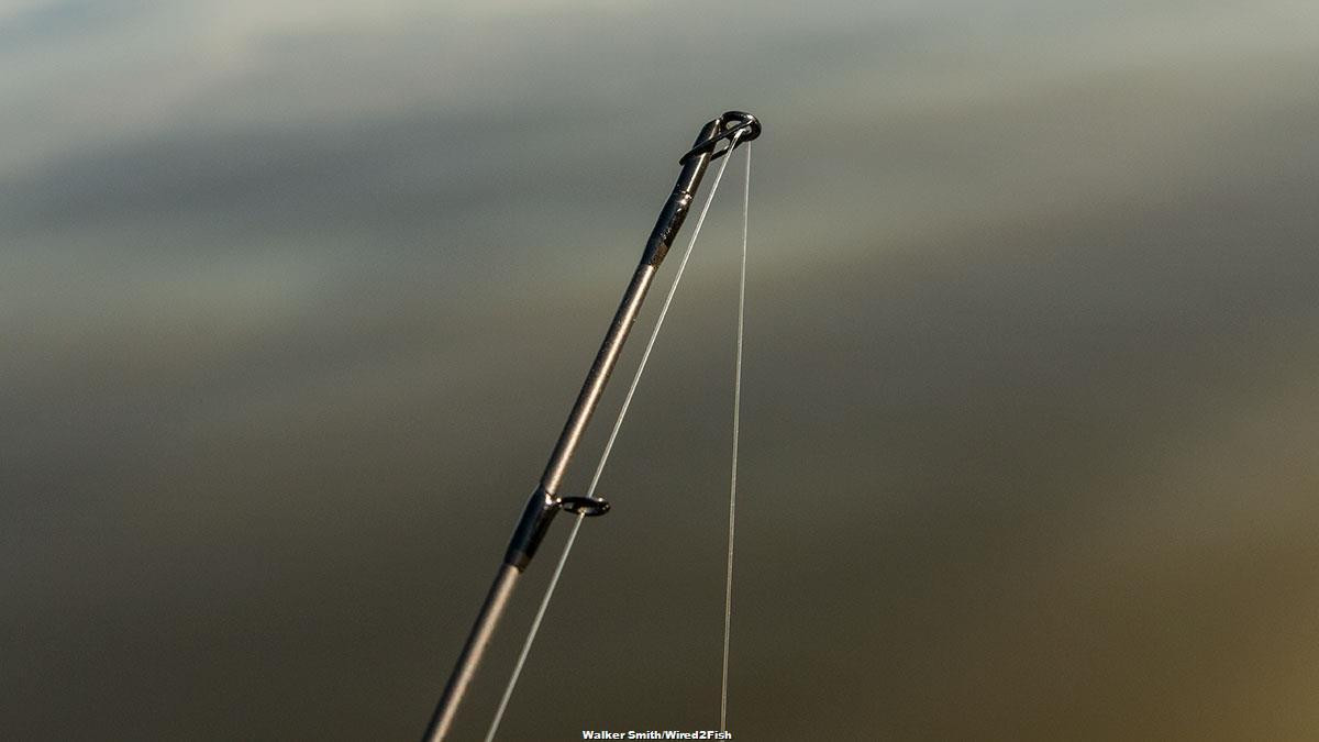 Quantum Smoke Casting Rod Review - Wired2Fish