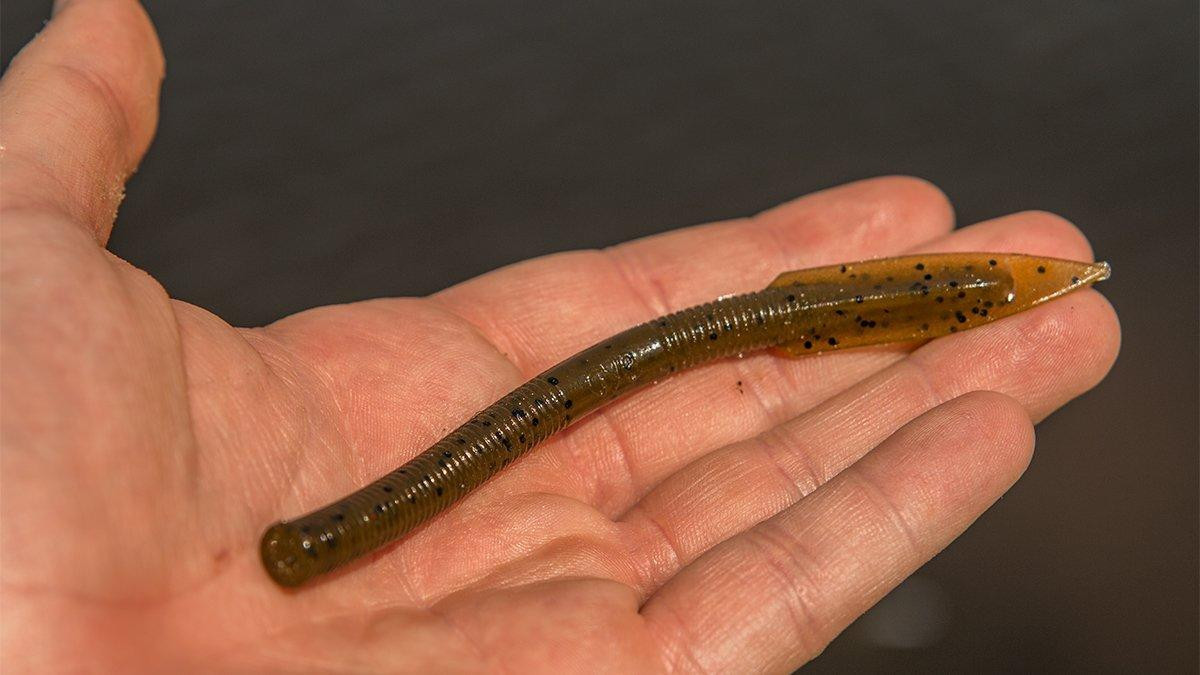 Yamamoto California Roll Worm - Wired2Fish