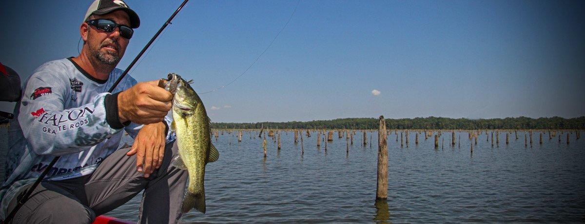 Bass Fishing Strategies for Stump Fields - Wired2Fish