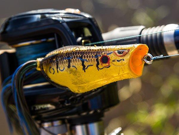 5 Must-Have Bank Fishing Baits - Wired2Fish