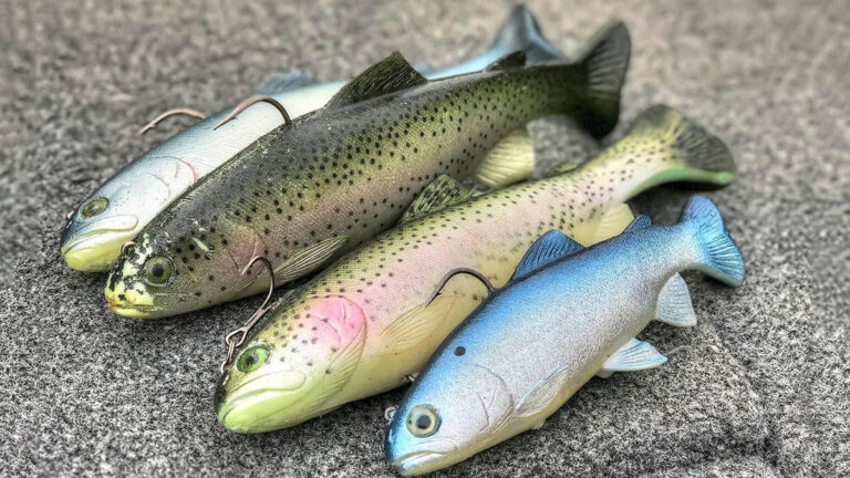 Land Your Biggest Bass with Big Swimbaits - Wired2Fish