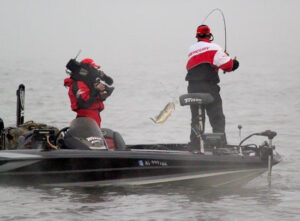 The Alabama Rig Comes into the Limelight - Wired2Fish