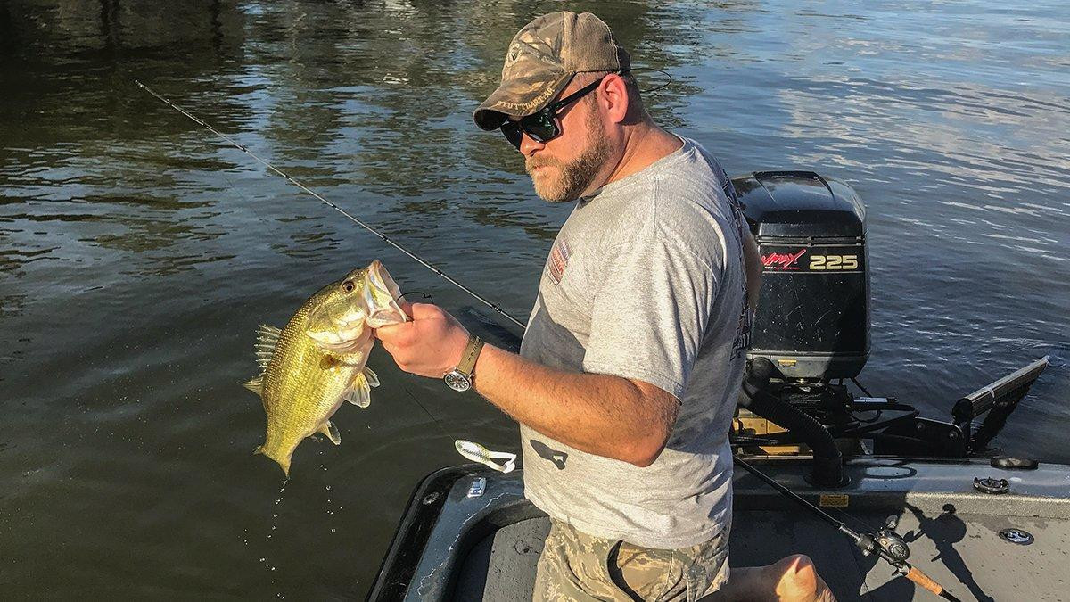 5 Ways to Catch More Bass on Toads - Wired2Fish