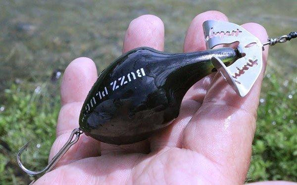 Arbogast Buzz Plug Review - Wired2Fish