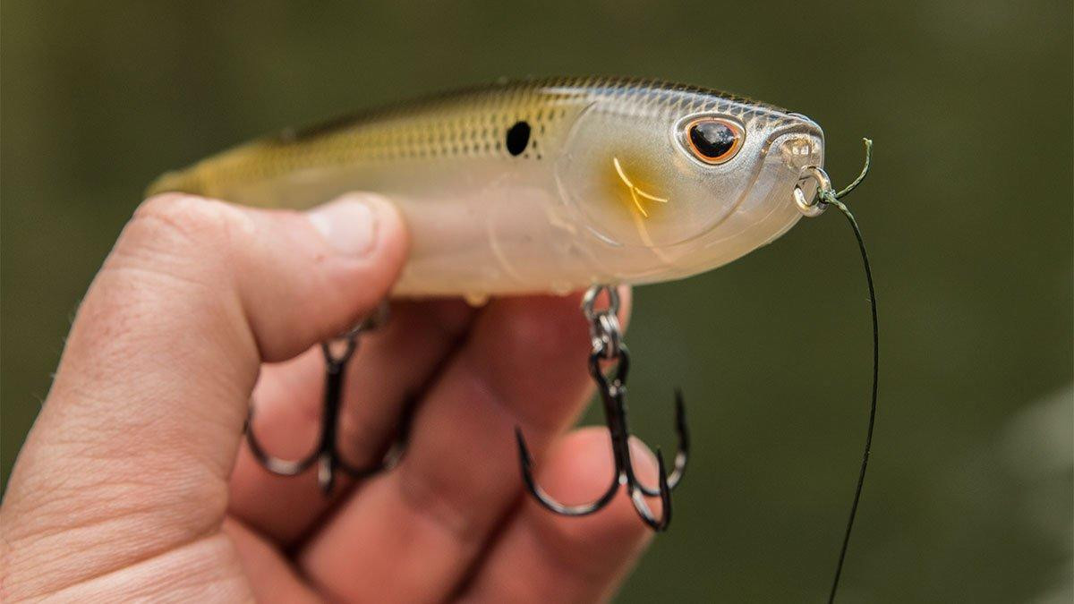 Storm Arashi Top Walker Review - Wired2Fish