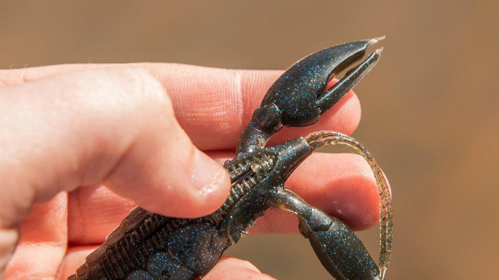 Biwaa Armored Craw [Review] - Wired2Fish