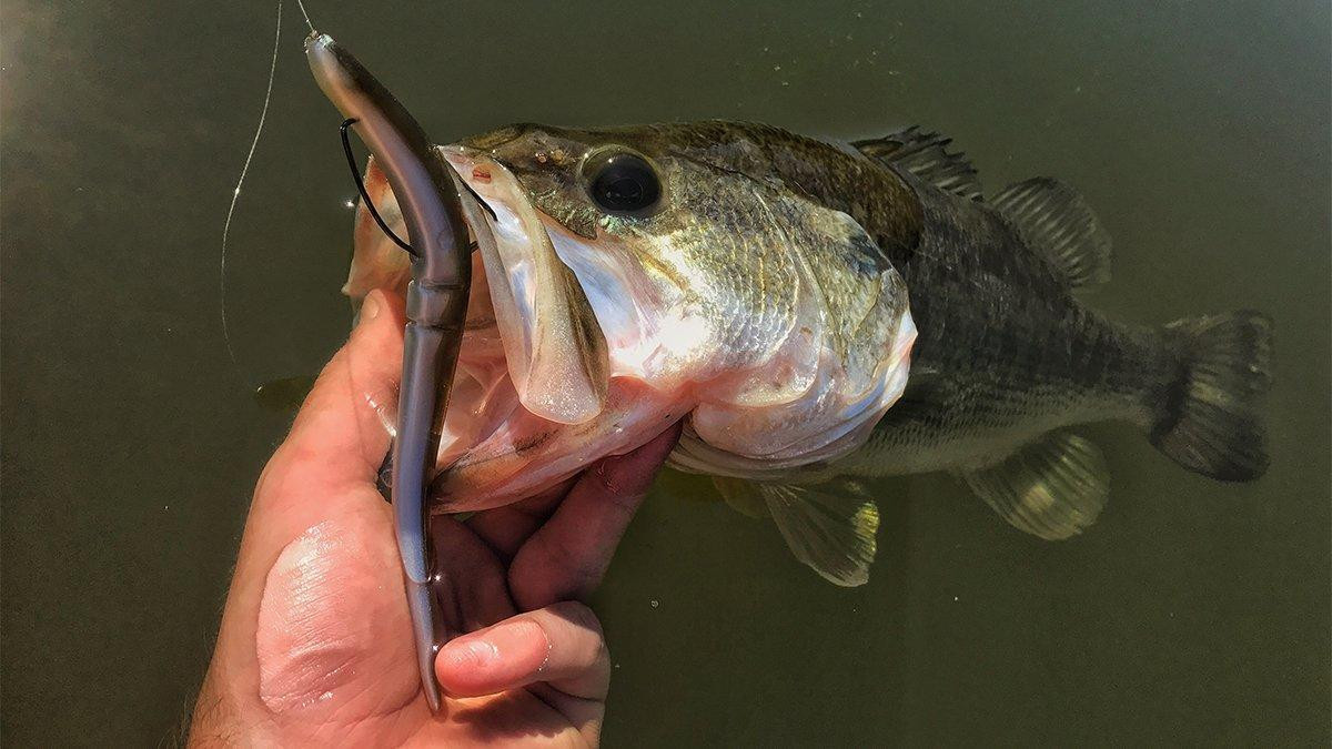 Lunker City Slug-Go Review - Wired2Fish