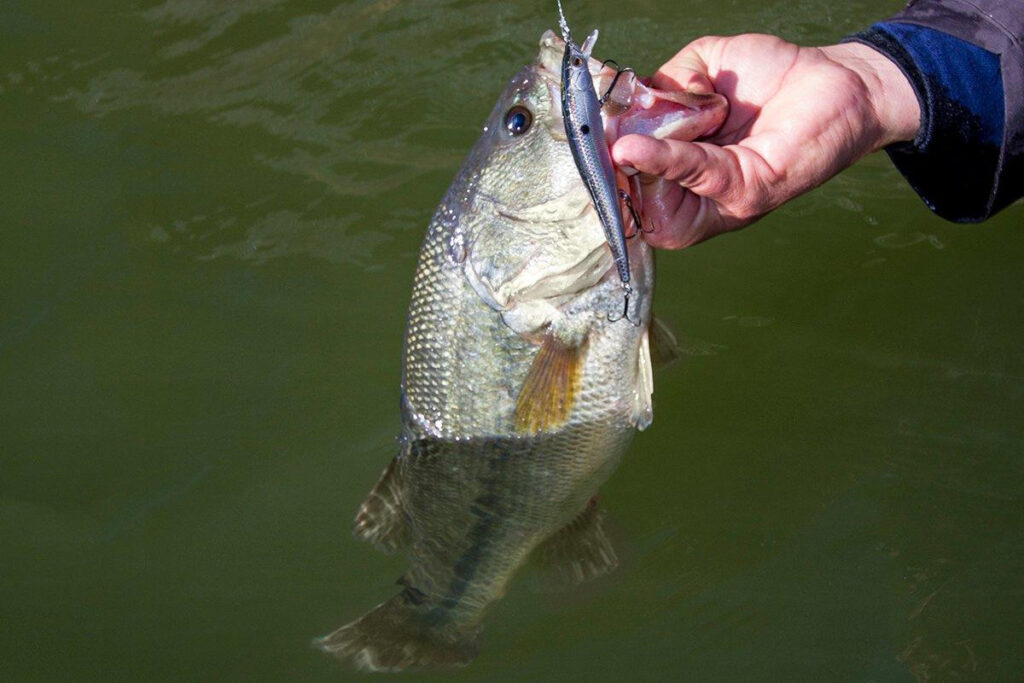 4 Reasons to Change Your Treble Hooks - Wired2Fish