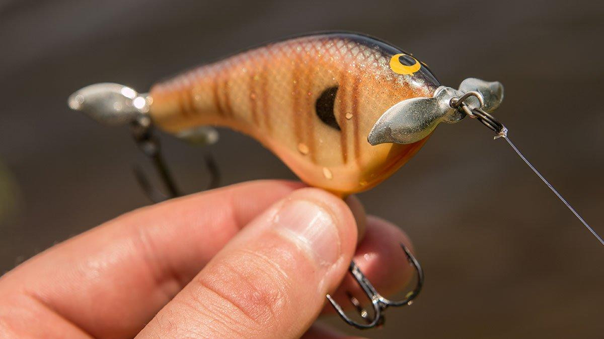 Black Label Tease Prop Bait Review - Wired2Fish