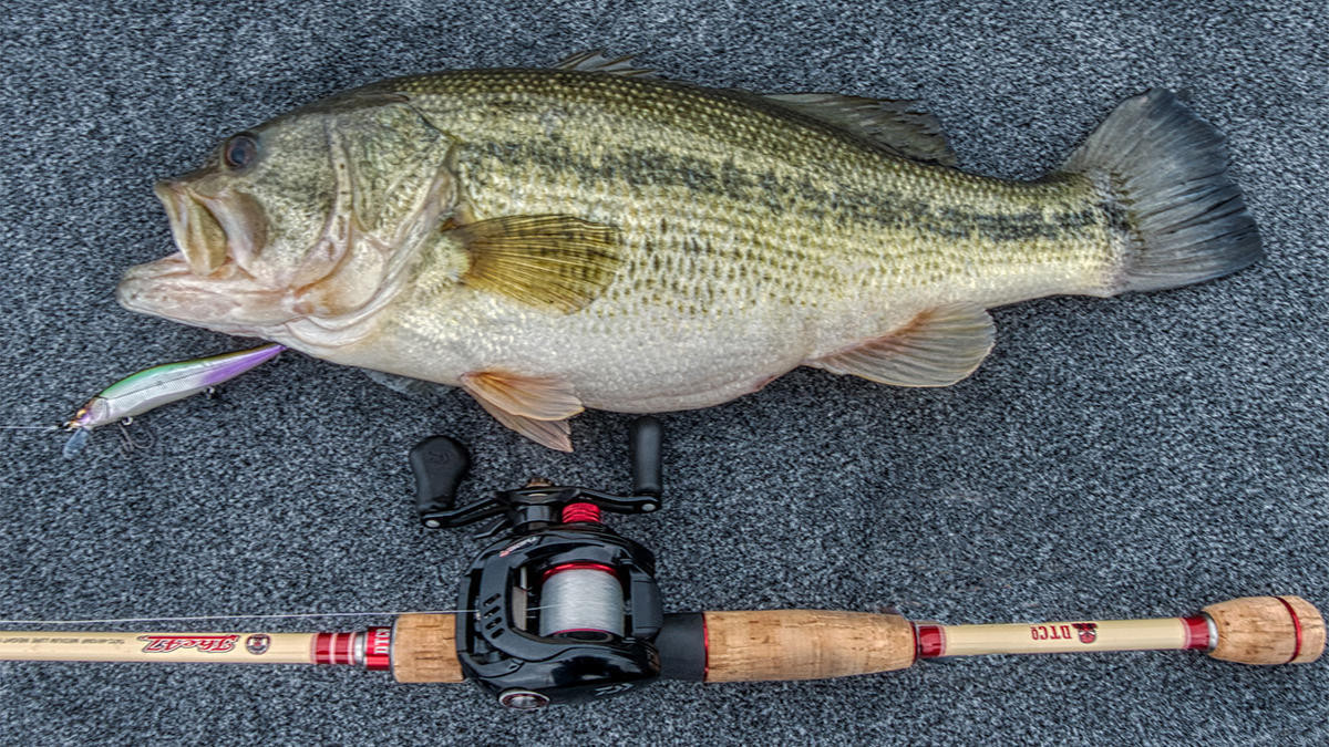 Pay Attention to How Your Fish Are Hooked - Wired2Fish