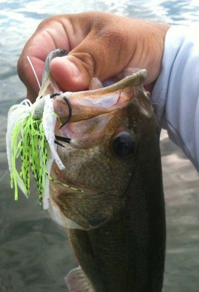 How to Fish a Swim Jig | The Basics - Wired2Fish