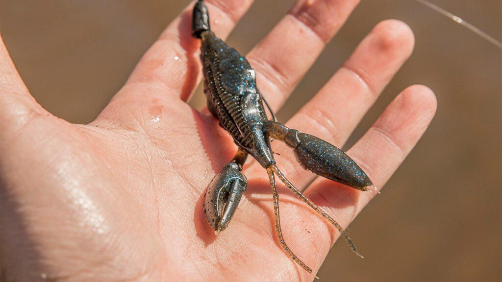 Biwaa Armored Craw [Review] - Wired2Fish