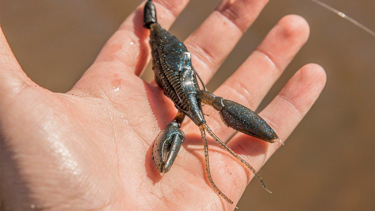 Biwaa Armored Craw [Review] - Wired2Fish