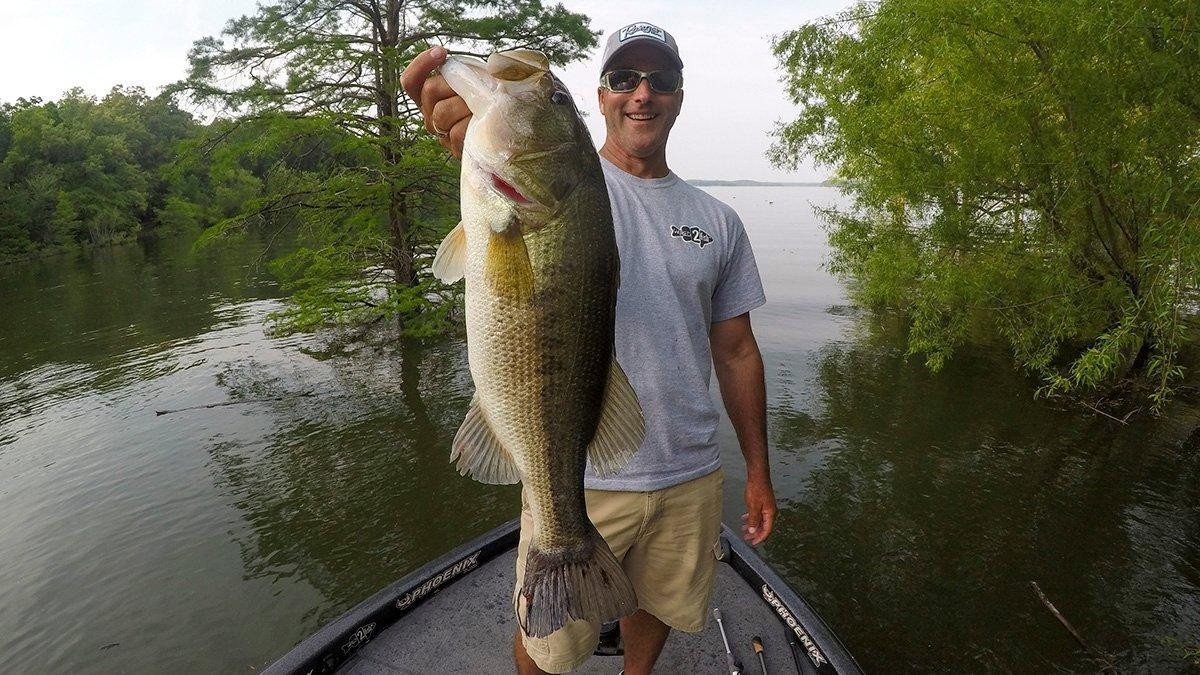 Learn to Read Cover for Better Bass Fishing - Wired2Fish