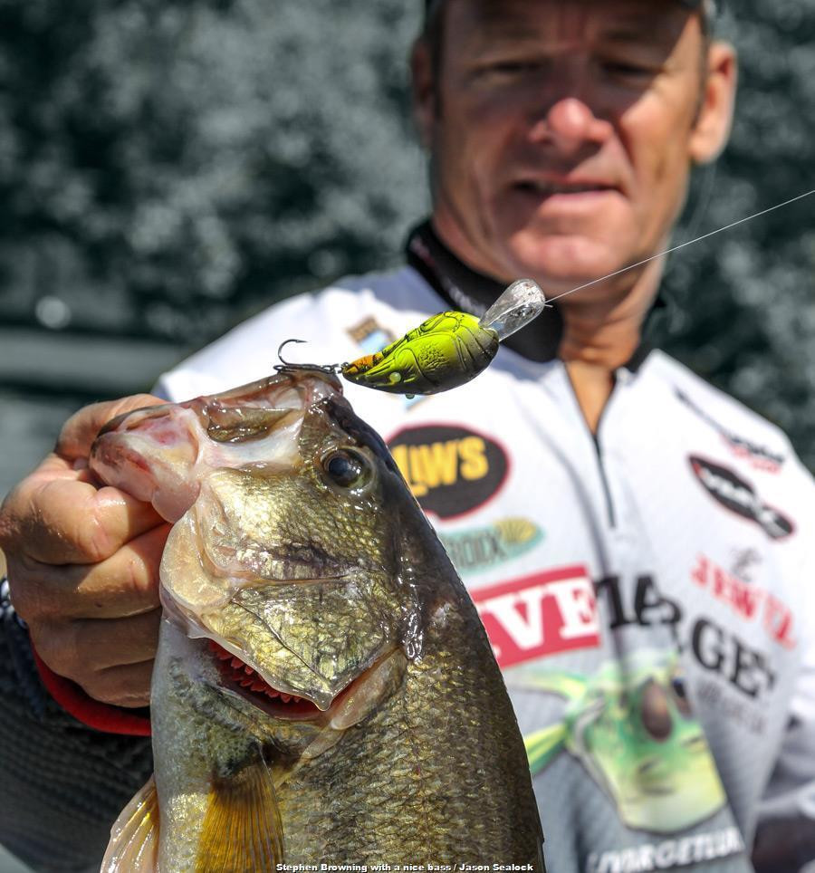 How to Fish Wing Dams for Bass - Wired2Fish