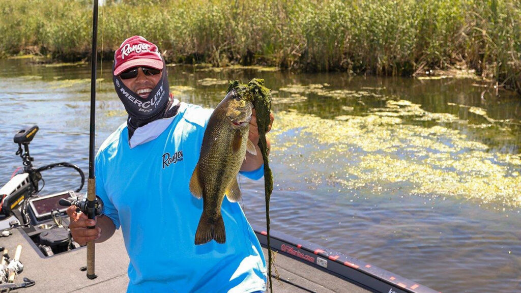 Find the Edge for Better Bass Fishing - Wired2Fish
