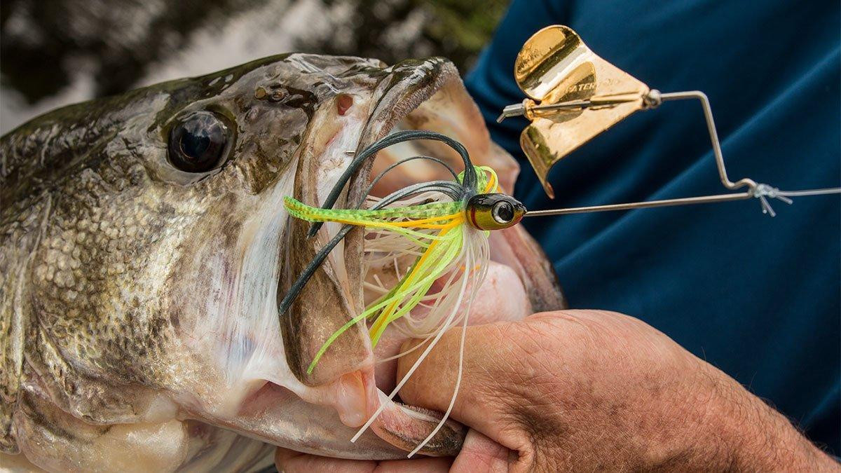3 Ways to Catch Suspended Bass in Dirty Water - Wired2Fish