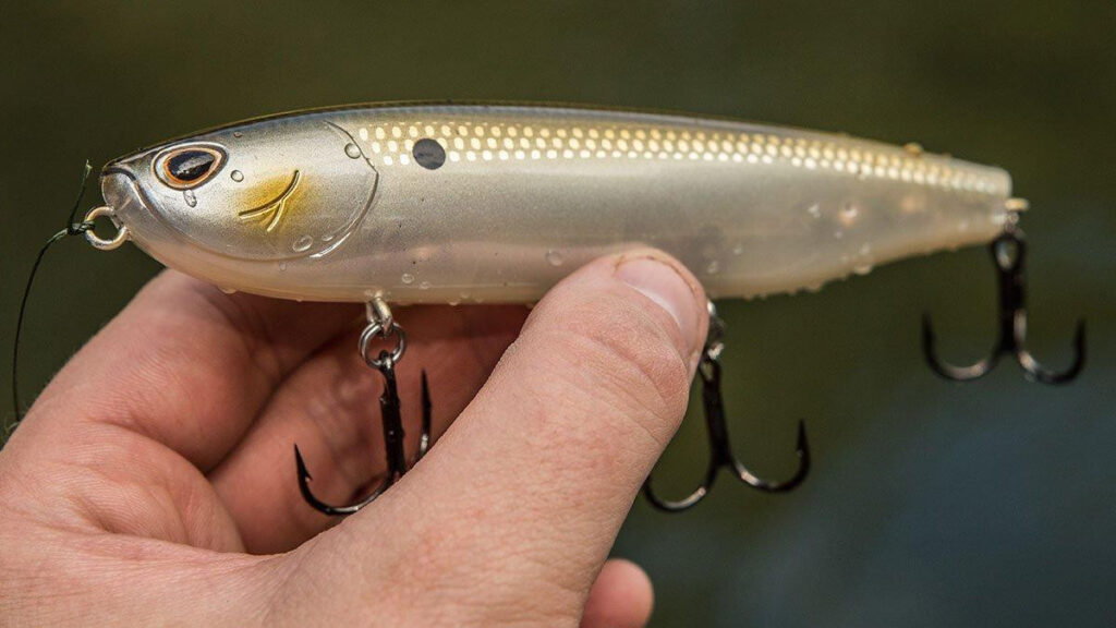 Storm Arashi Top Walker Review - Wired2Fish