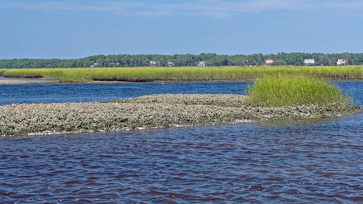 6 Hard Fishing Spots for Redfish - Wired2Fish
