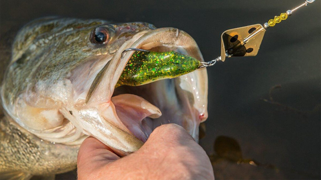 V&M Buzz Frog Review - Wired2Fish