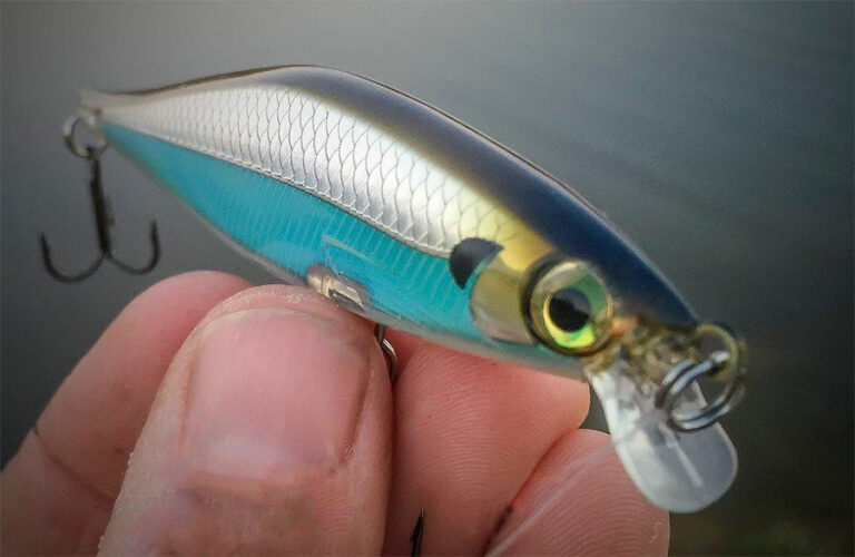 Rapala Shadow Rap Shad Review - Wired2Fish