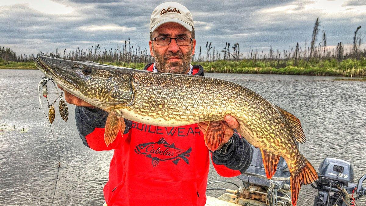 Pike Paradise - Wired2Fish