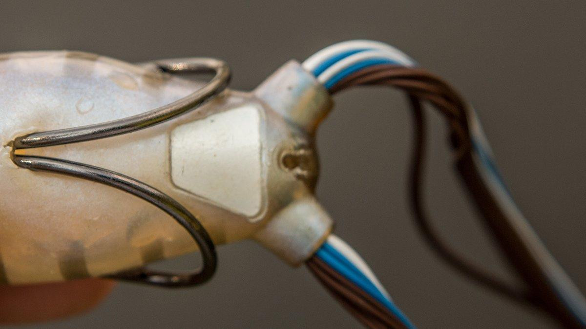 Terminator Popping Frog Review - Wired2Fish