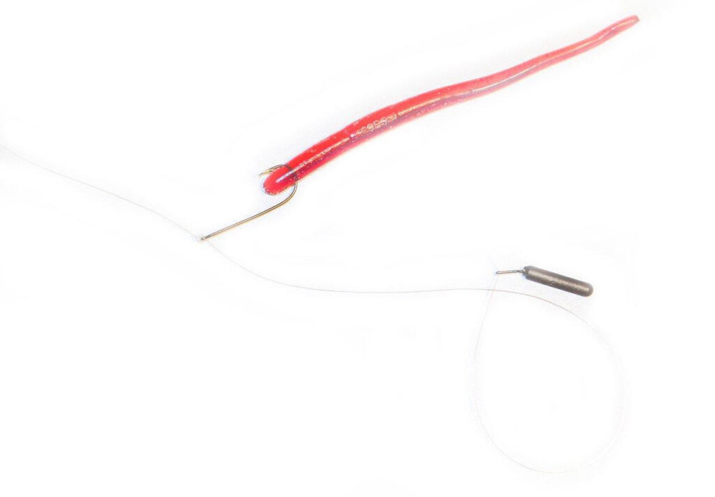 Rigging Live Earthworms for Bigger Panfish - Wired2Fish