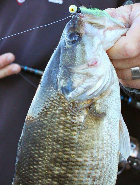 Float-n-Fly for Nostalgic and Productive Fishing - Wired2Fish