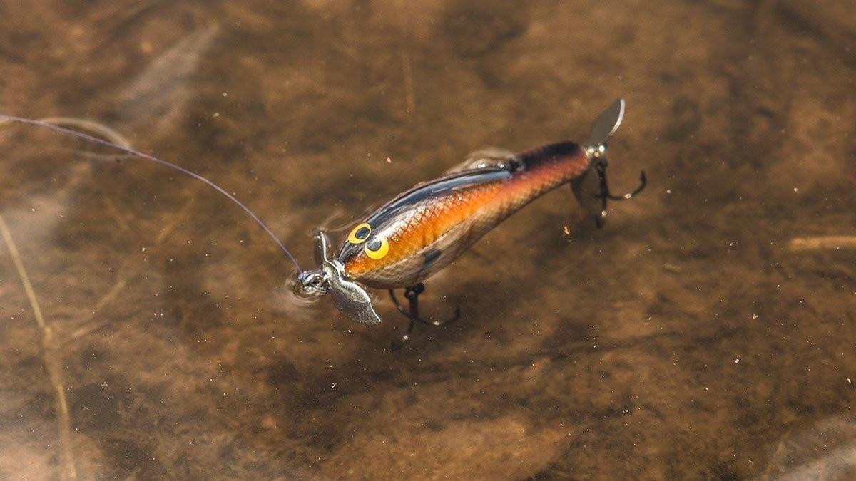 Black Label Tease Prop Bait Review - Wired2Fish