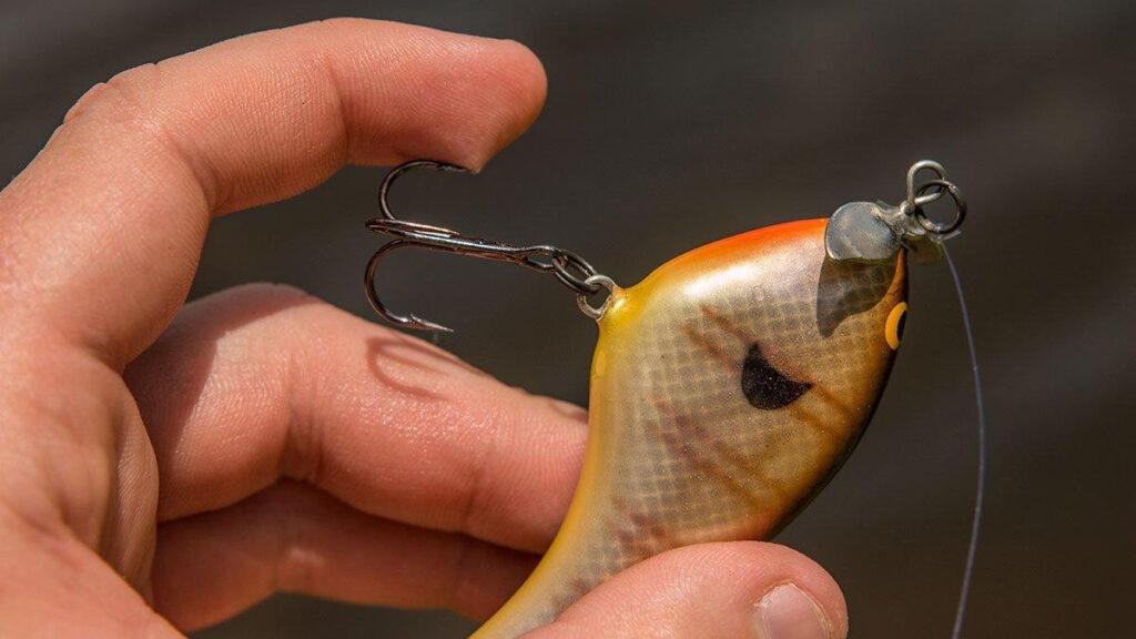 Black Label Tease Prop Bait Review - Wired2Fish