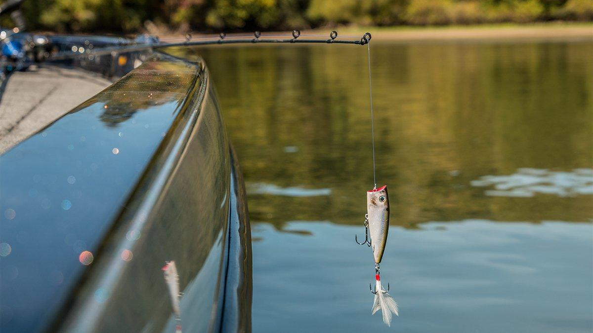 5 Targets for Great Summer Topwater Fishing - Wired2Fish