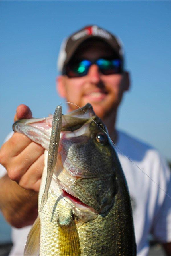 Zoom Salty Super Fluke Review - Wired2Fish