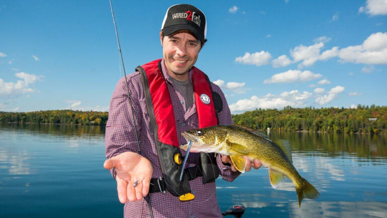 Learn How to Drop Shot Big Walleyes - Wired2Fish
