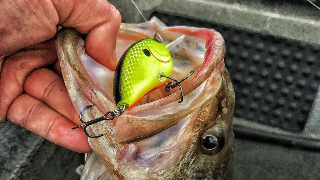 Pay Attention to How Your Fish Are Hooked - Wired2Fish