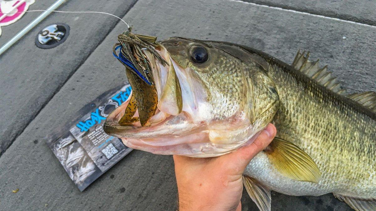 Hoax Fish Bamboozie Craw Review - Wired2Fish