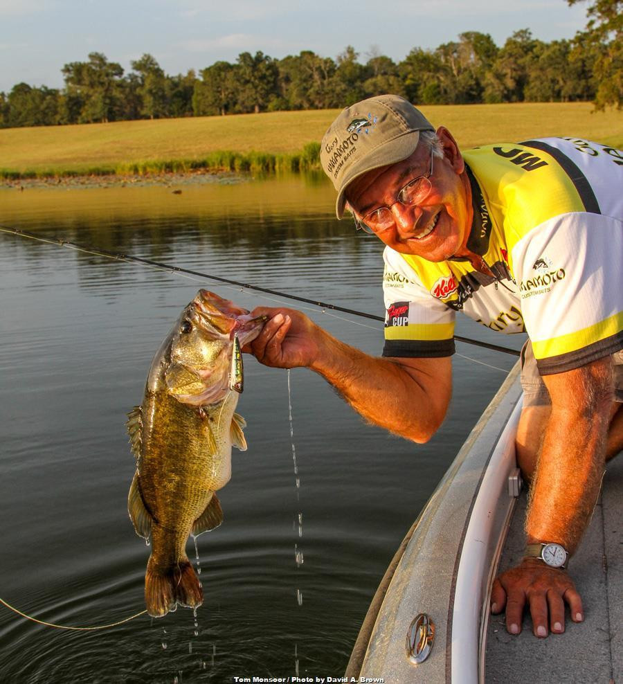 Catch More Bass on Topwater Poppers with these Tricks - Wired2Fish