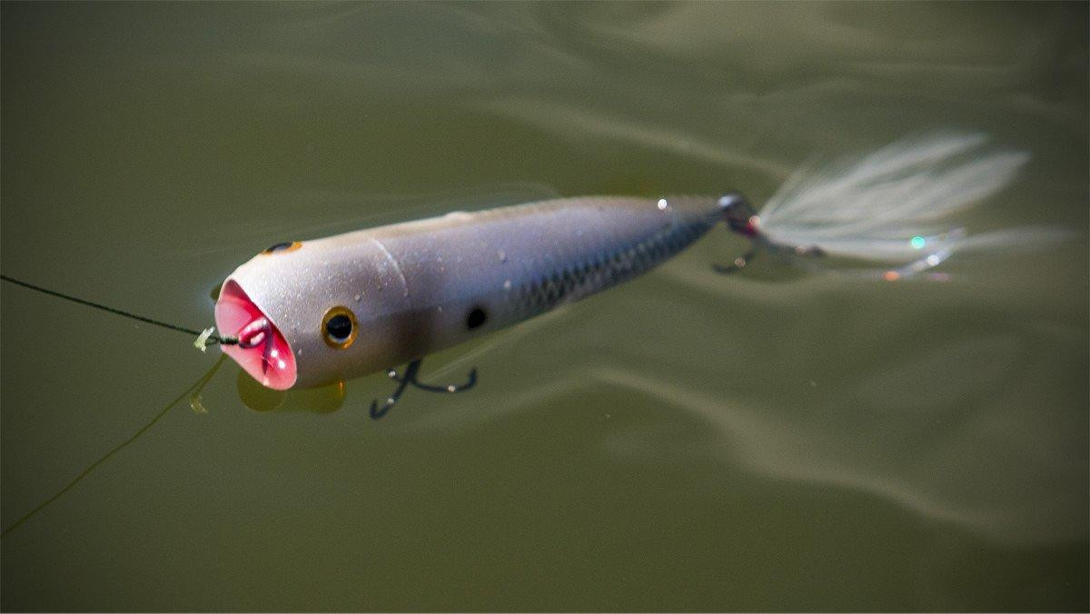 Boing G2 Popper Topwater Review - Wired2Fish