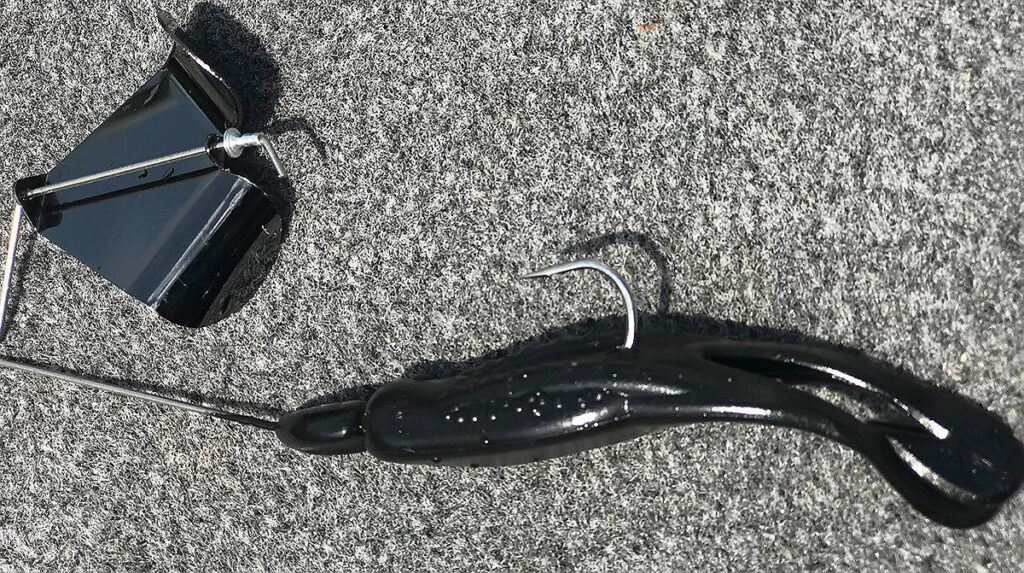 War Eagle Buzz Toad Review - Wired2Fish