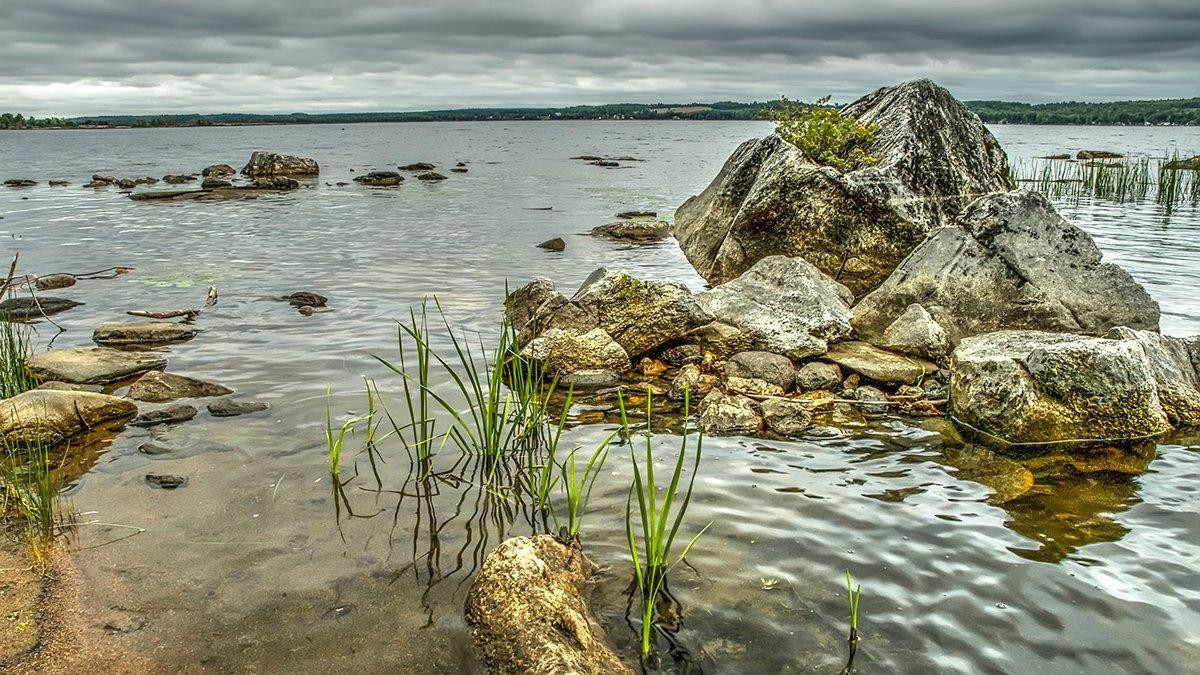 Fishing Backwaters on Fluctuating Rivers - Wired2Fish