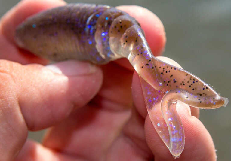 Yamamoto Zako Swimbait Review - Wired2Fish