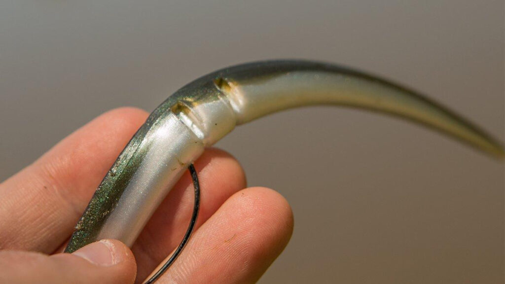 Lunker City Slug-Go Review - Wired2Fish