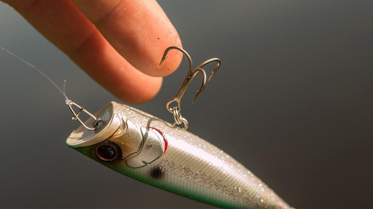 Evergreen One's Bug Popper Review - Wired2Fish