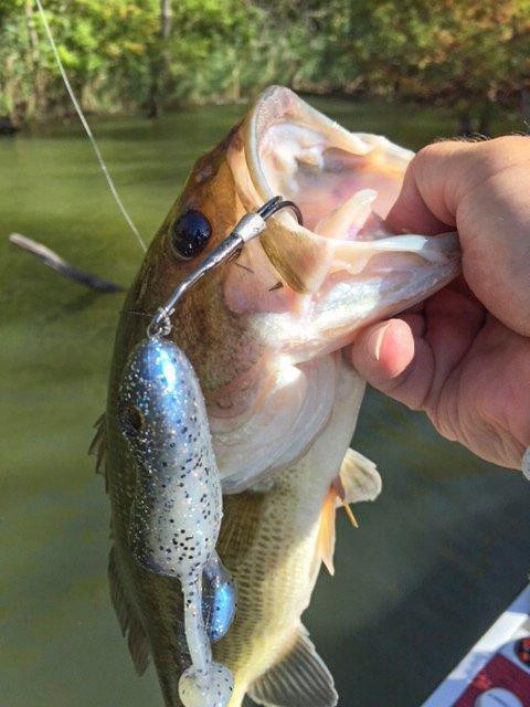 Stanley Top Toad Fishing Tackle Review - Wired2Fish