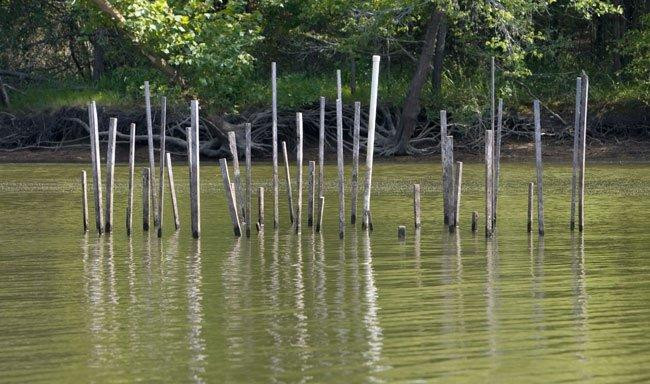 How to Fish Stake Beds Effectively for Big Bass - Wired2Fish