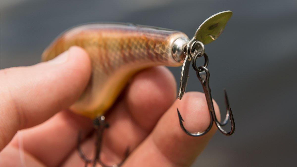 Black Label Tease Prop Bait Review - Wired2Fish